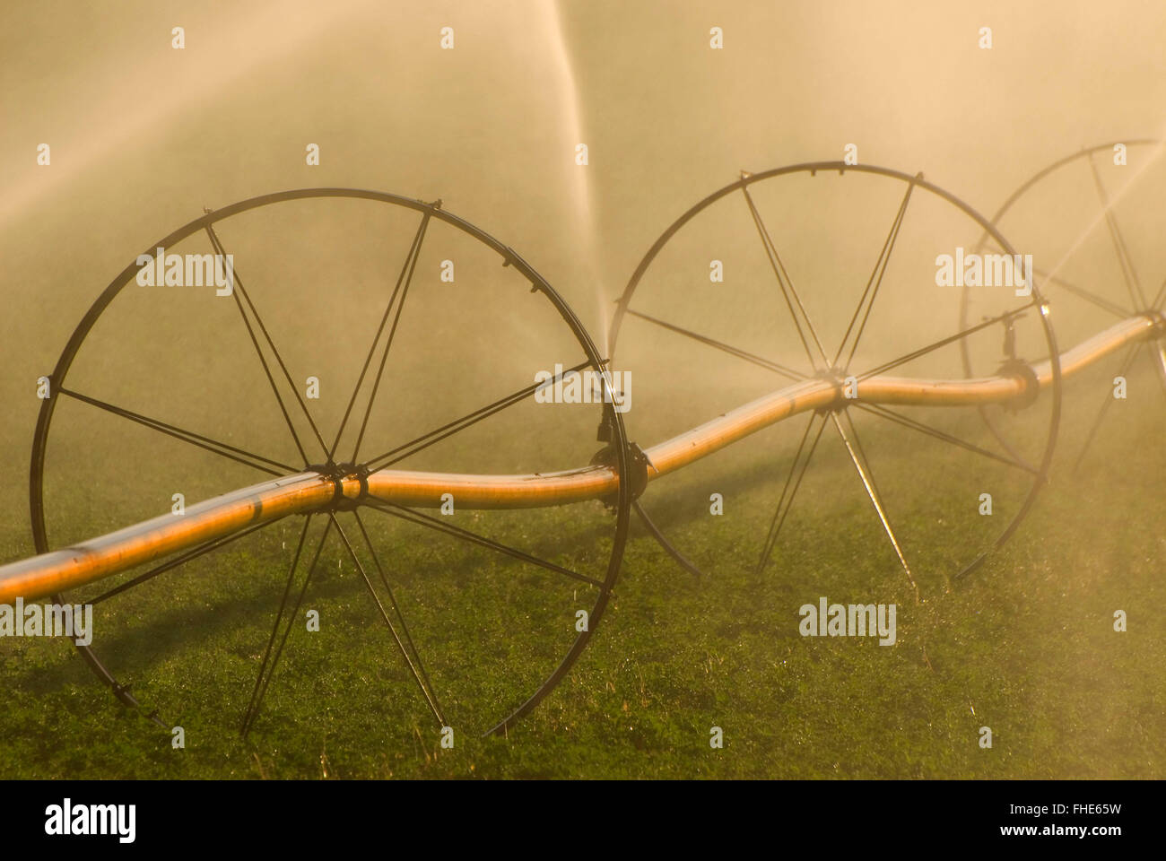 Irrigate field hi-res stock photography and images - Alamy