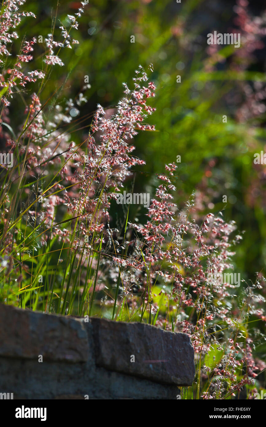 Unexcavated hi-res stock photography and images - Alamy