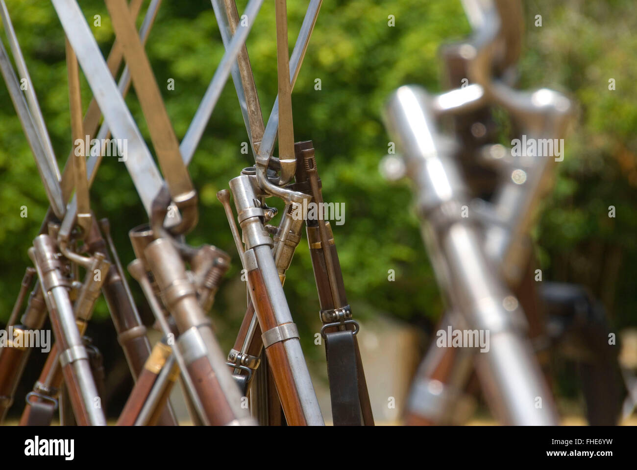 Rifle rifles bayonet bayonets hi-res stock photography and images - Alamy