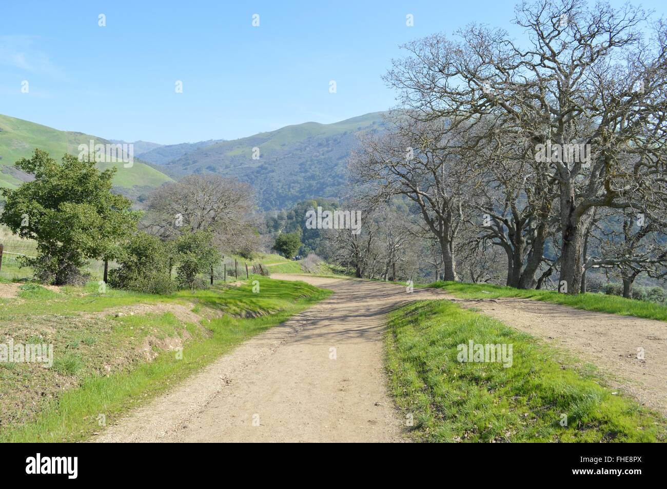 Trail nature trail hi-res stock photography and images - Alamy