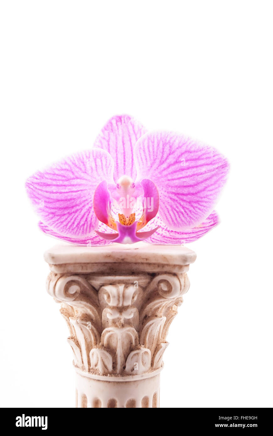 Classical column with flower Stock Photo - Alamy