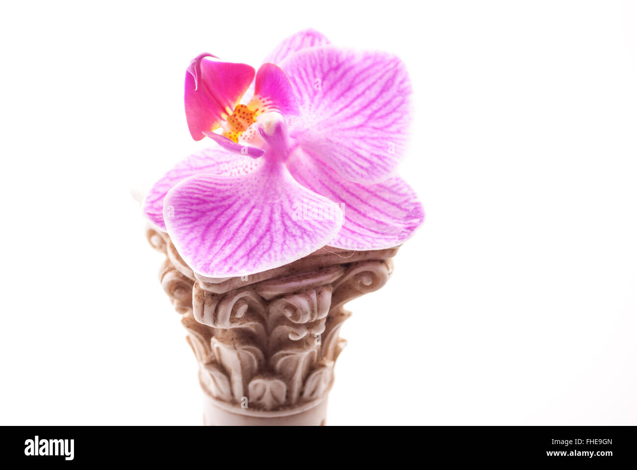 Classical column with flower Stock Photo - Alamy