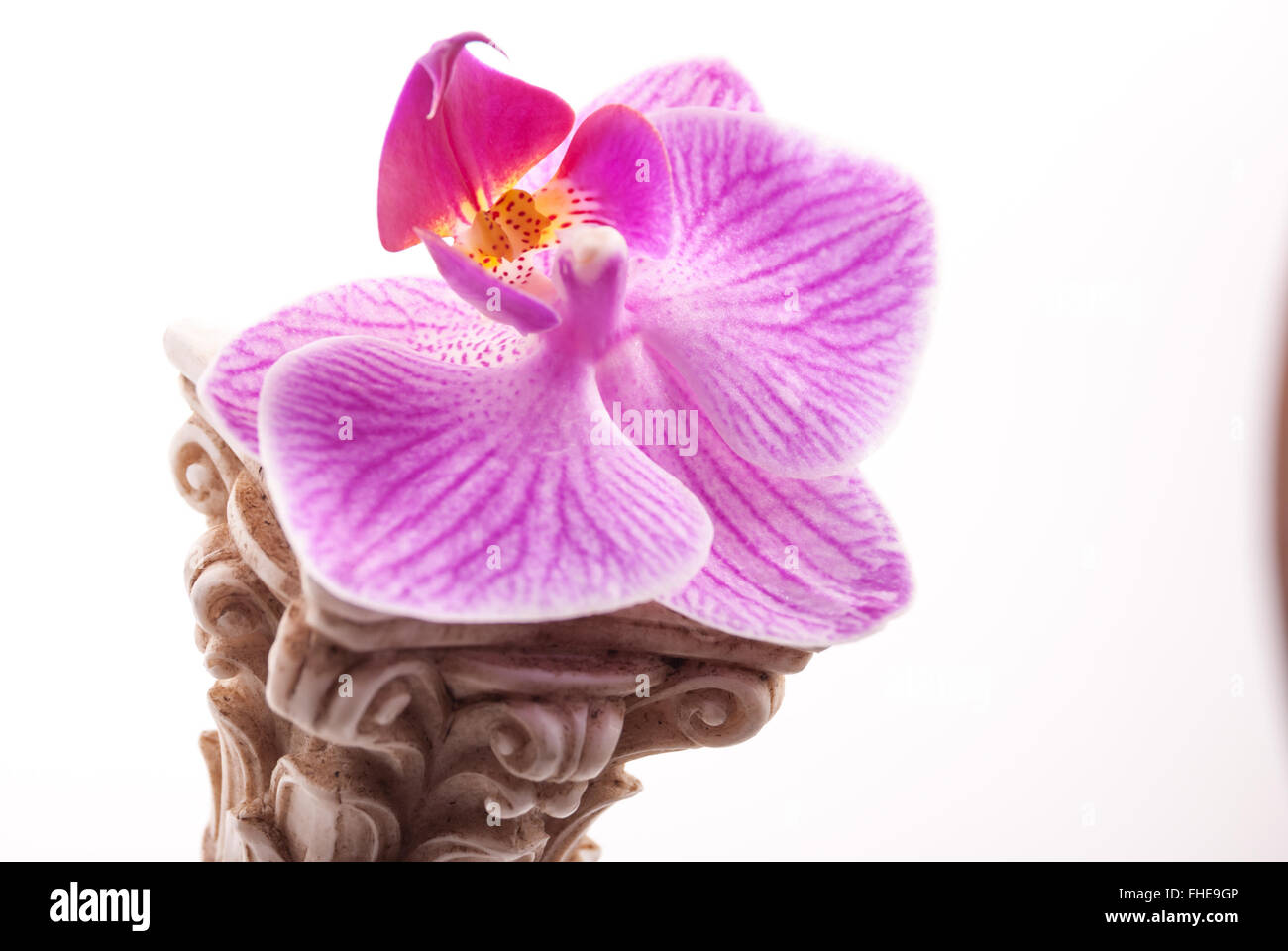 Classical column with flower Stock Photo - Alamy