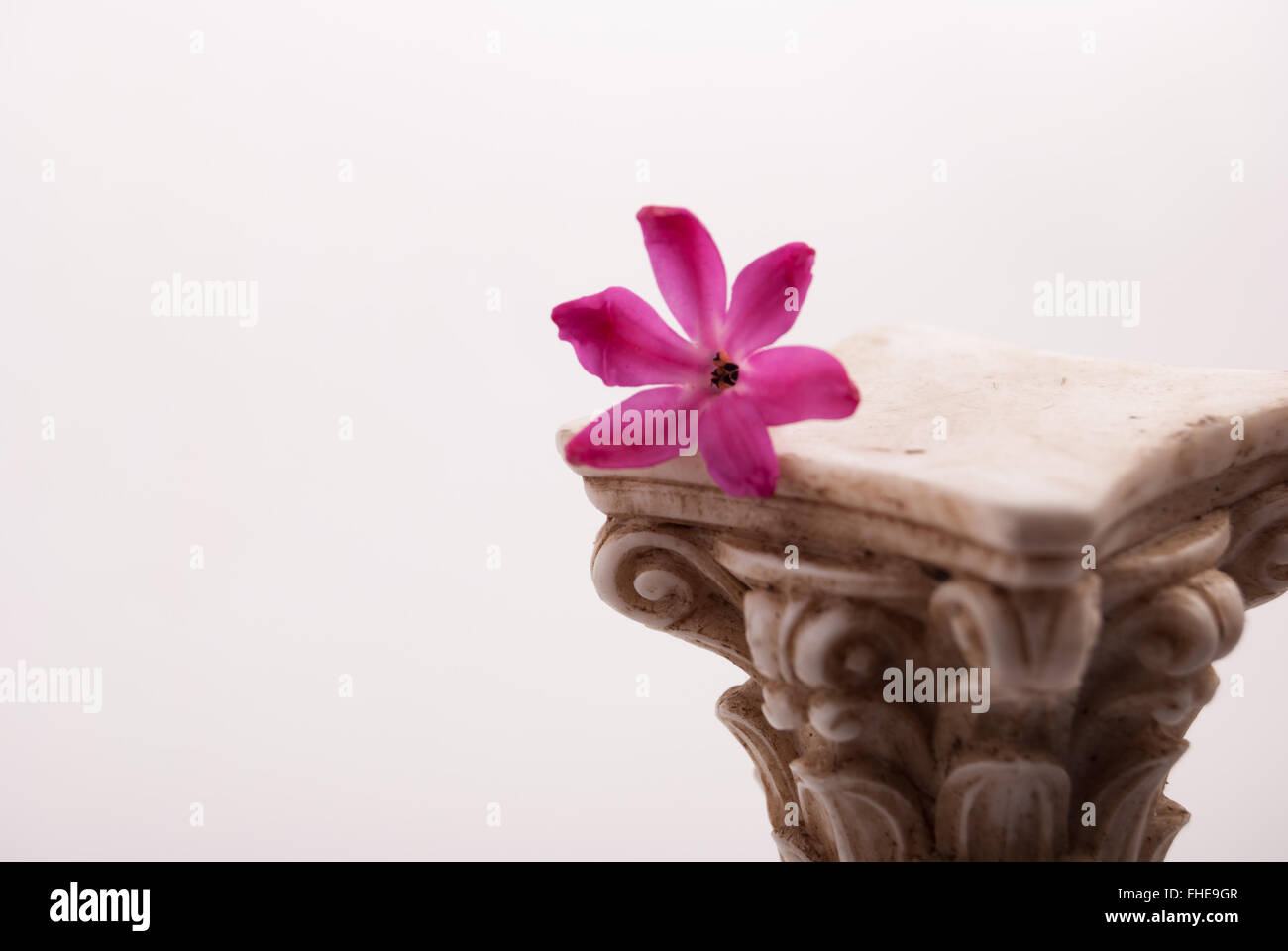 Classical column with flower Stock Photo - Alamy