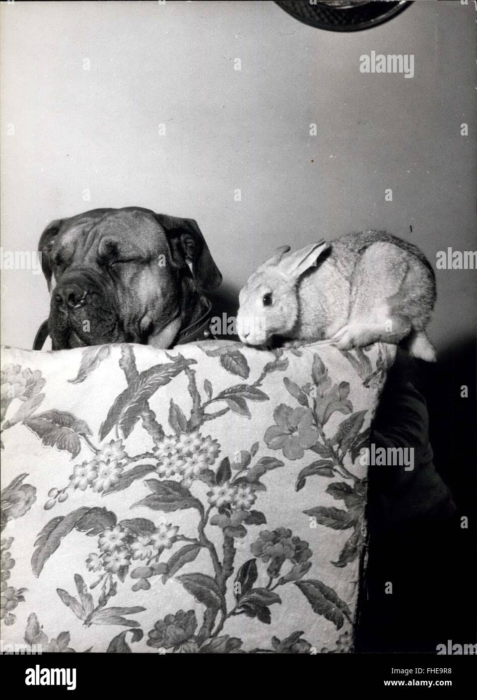 1966 - Supposing this dreaming of Rabbits: Bunny seems just a wee hit ...