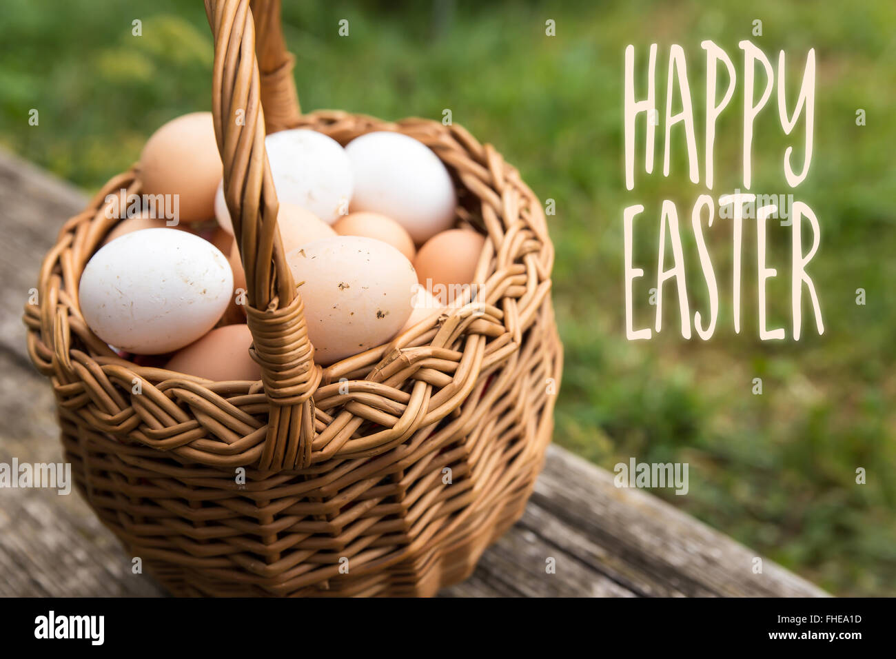 basket with white and brown bio eggs, green meadow in the background ...