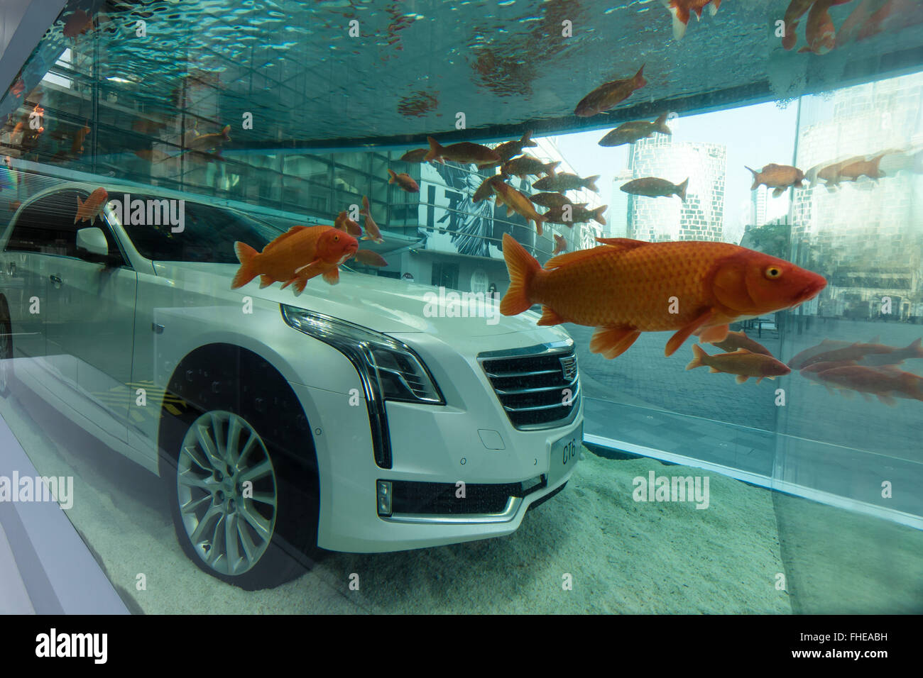 Shanghai, Shanghai, CHN. 25th Feb, 2016. A Luxury Car is put in a fish ...