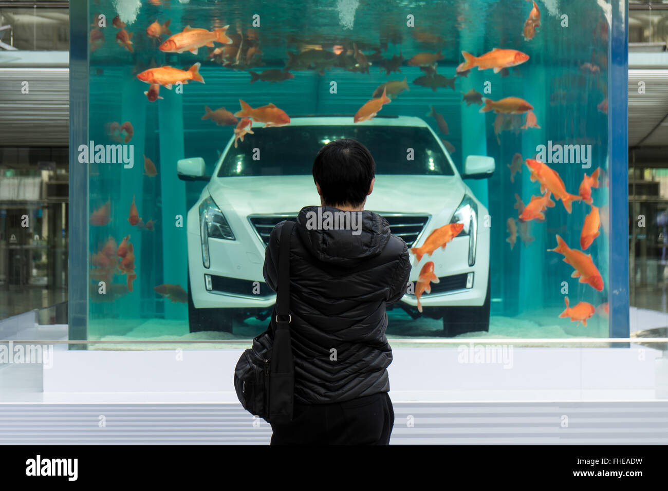 Shanghai, Shanghai, CHN. 25th Feb, 2016. A Luxury Car is put in a fish ...