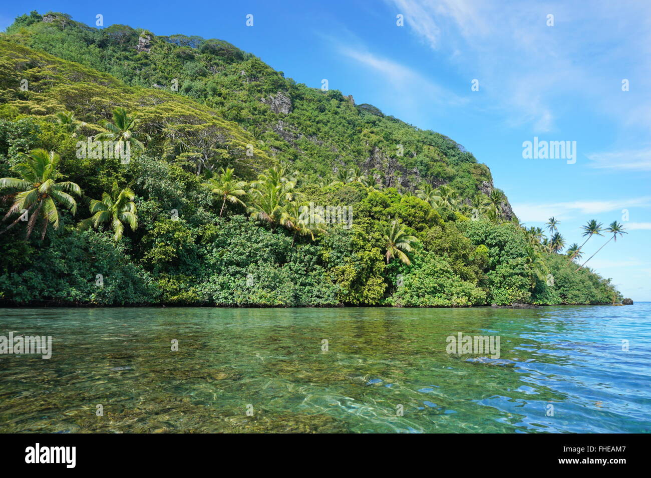 Coastal landscape with lush green vegetation on unspoiled shore ...