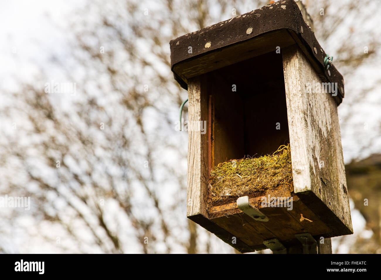 Old nest box hi-res stock photography and images - Alamy