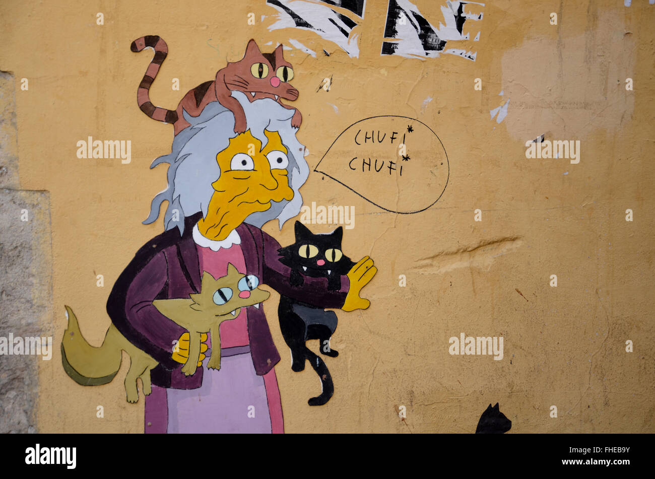 Crazy Cat Lady Simpsons Meme