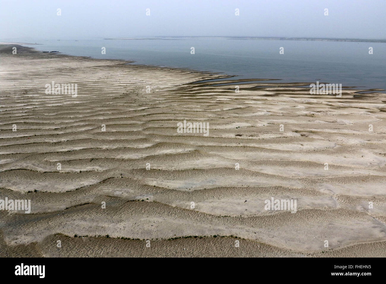Jamun plant tree hi-res stock photography and images - Alamy