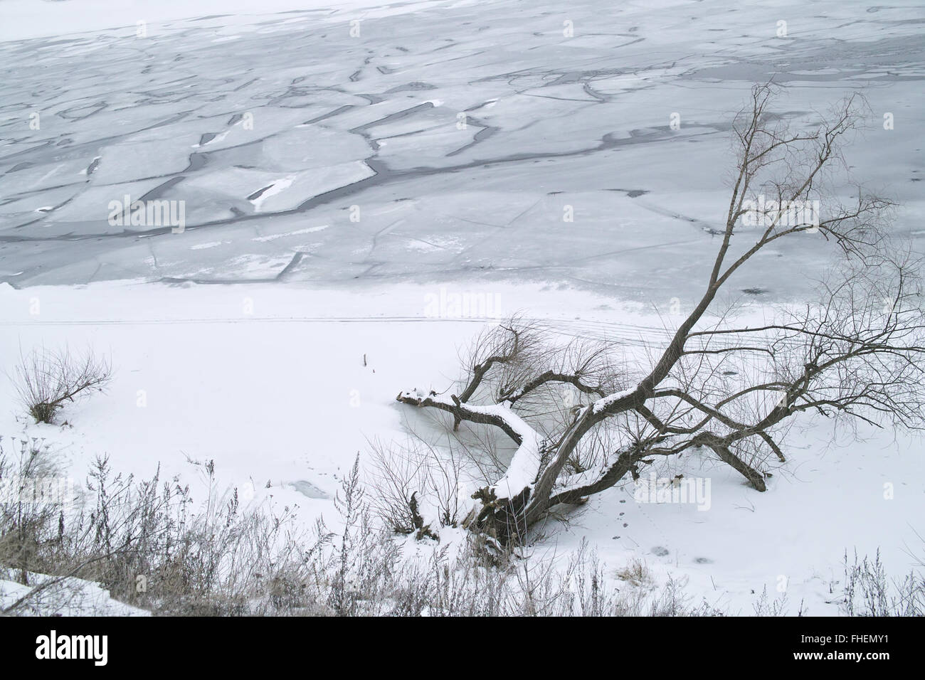 Downed on the snowy river bank Stock Photo - Alamy