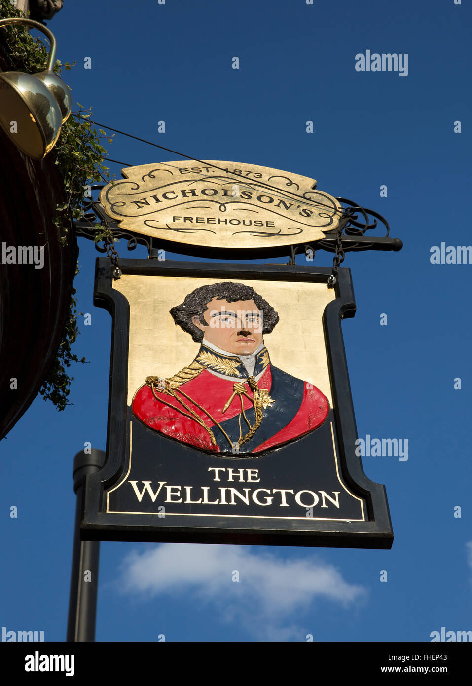 The Wellington pub sign in the Strand London Stock Photo - Alamy