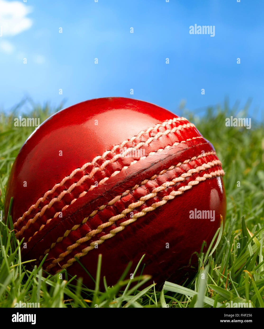 Cricket pitch detail hi-res stock photography and images - Alamy