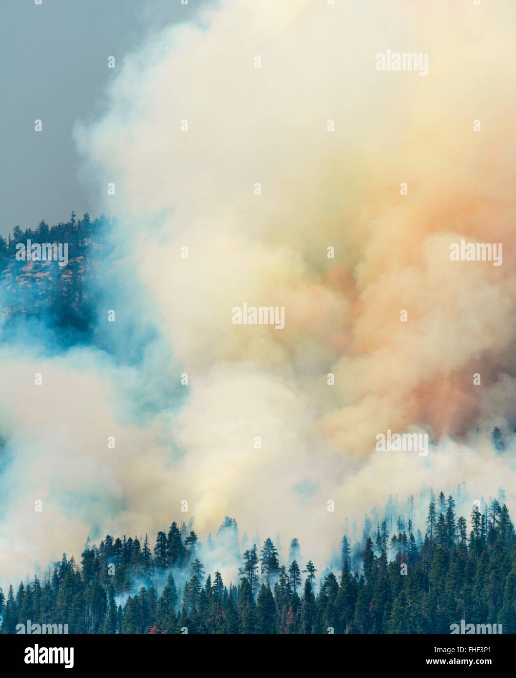 Wildfire column hi-res stock photography and images - Alamy
