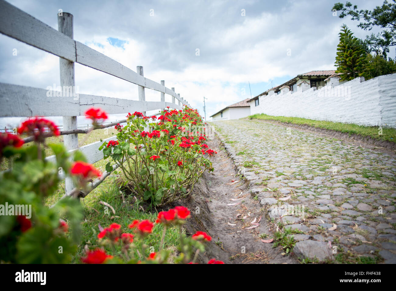 Flower road in Tabacundo Stock Photo - Alamy