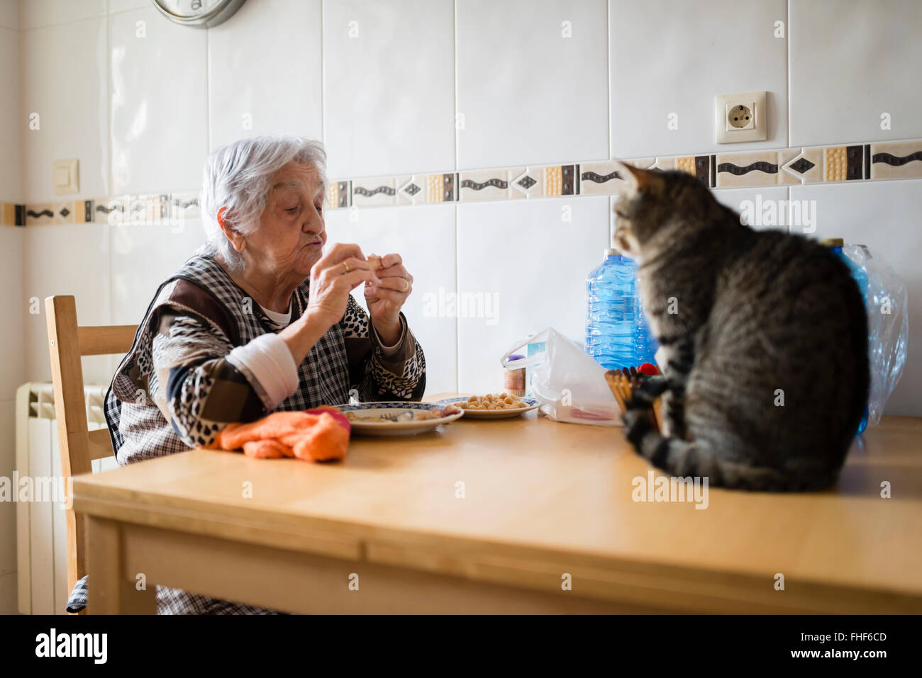 Senior woman eating while the cat watching her Stock Photo - Alamy