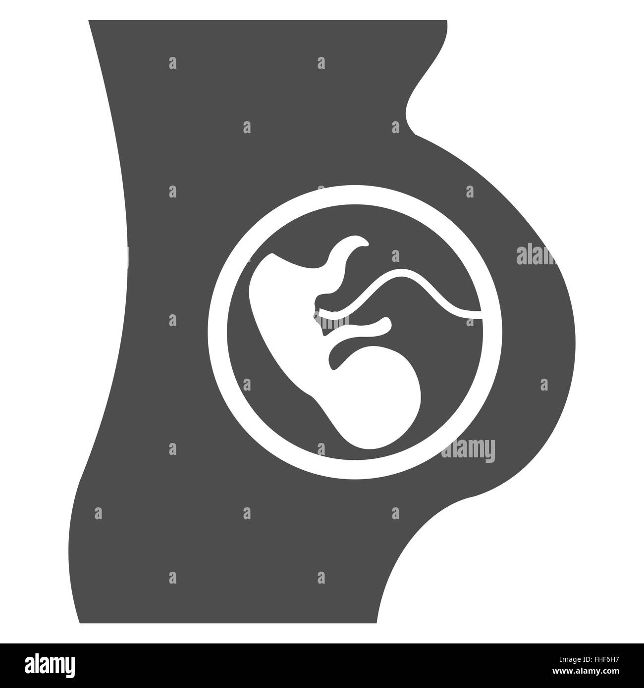 Placenta foetus Cut Out Stock Images & Pictures - Alamy