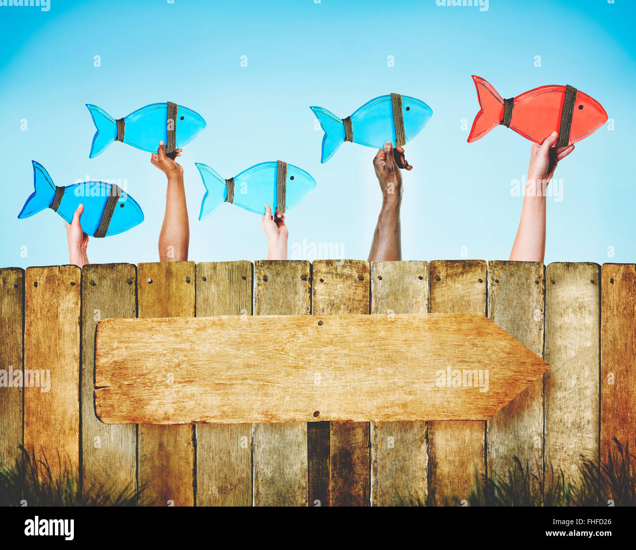 Leader Fish Team Following Togetherness Forward Concept Stock Photo - Alamy