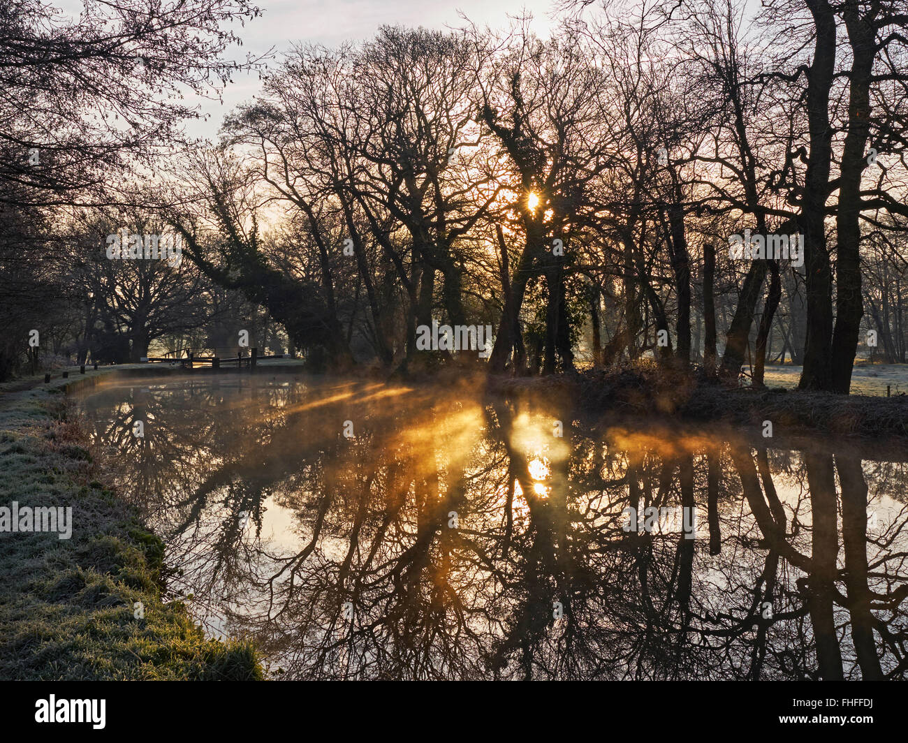 River Wey navigation at Newark lock near Ripley Surrey on a still clear ...