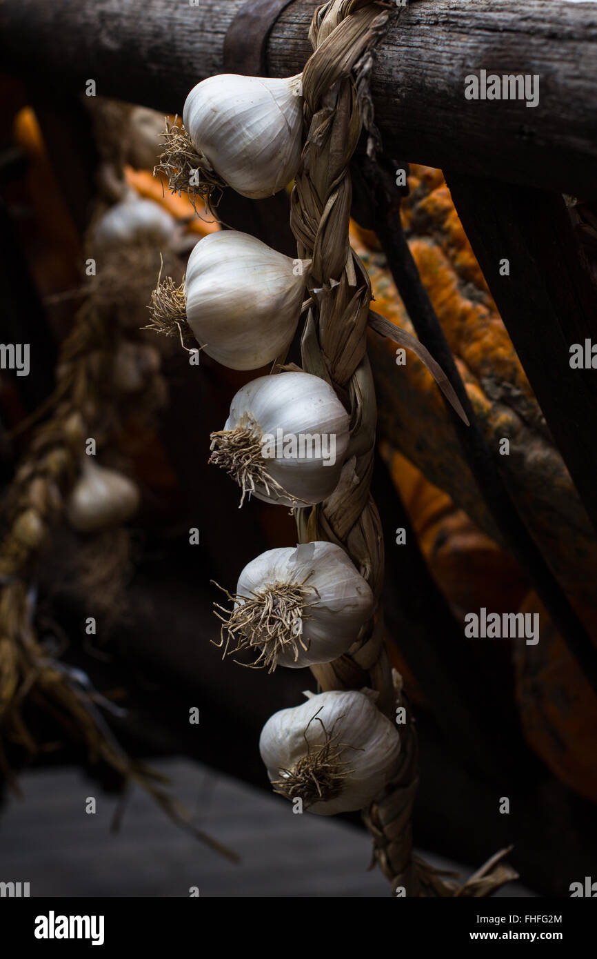 Festoon of five cloves of garlic Stock Photo - Alamy