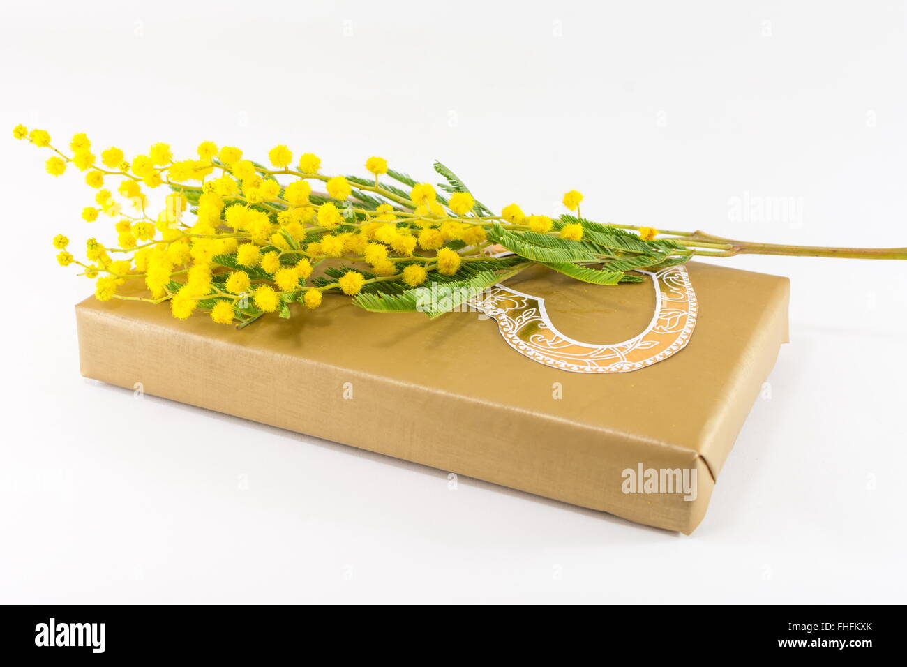 Mimosa flower on a wrapped present box Stock Photo - Alamy