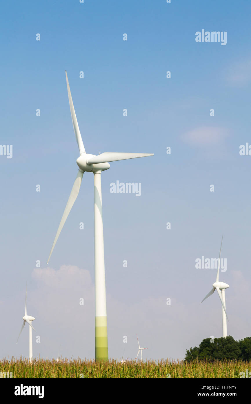 wind wheels on blue sky with cornfield Stock Photo - Alamy