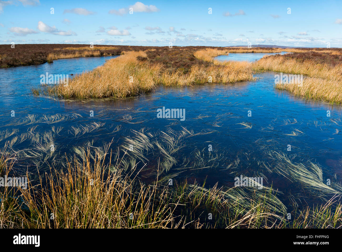 Frozen Pole Cottage pond in winter on the Long Mynd, Shropshire Stock ...