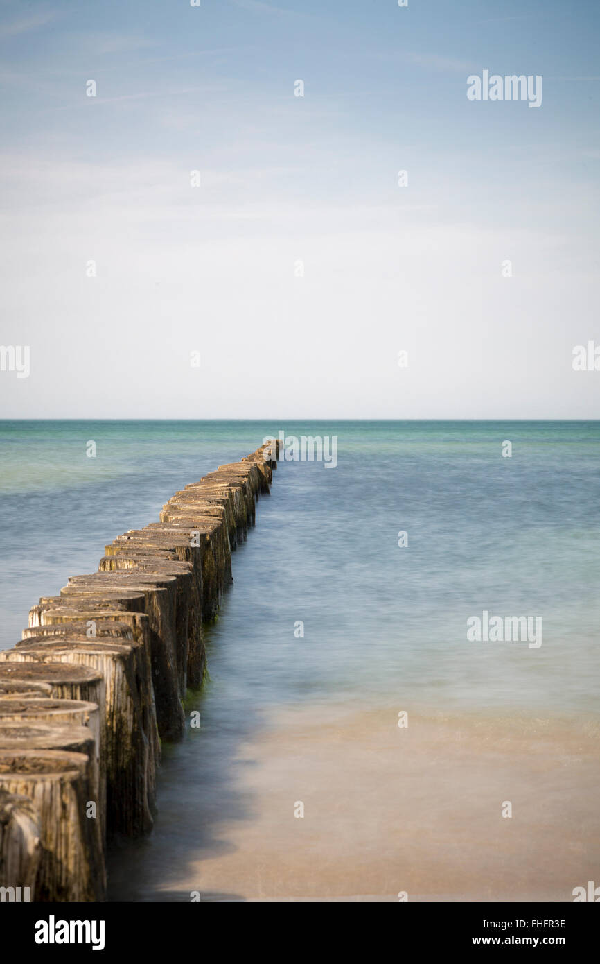 Timber Groin High Resolution Stock Photography and Images - Alamy