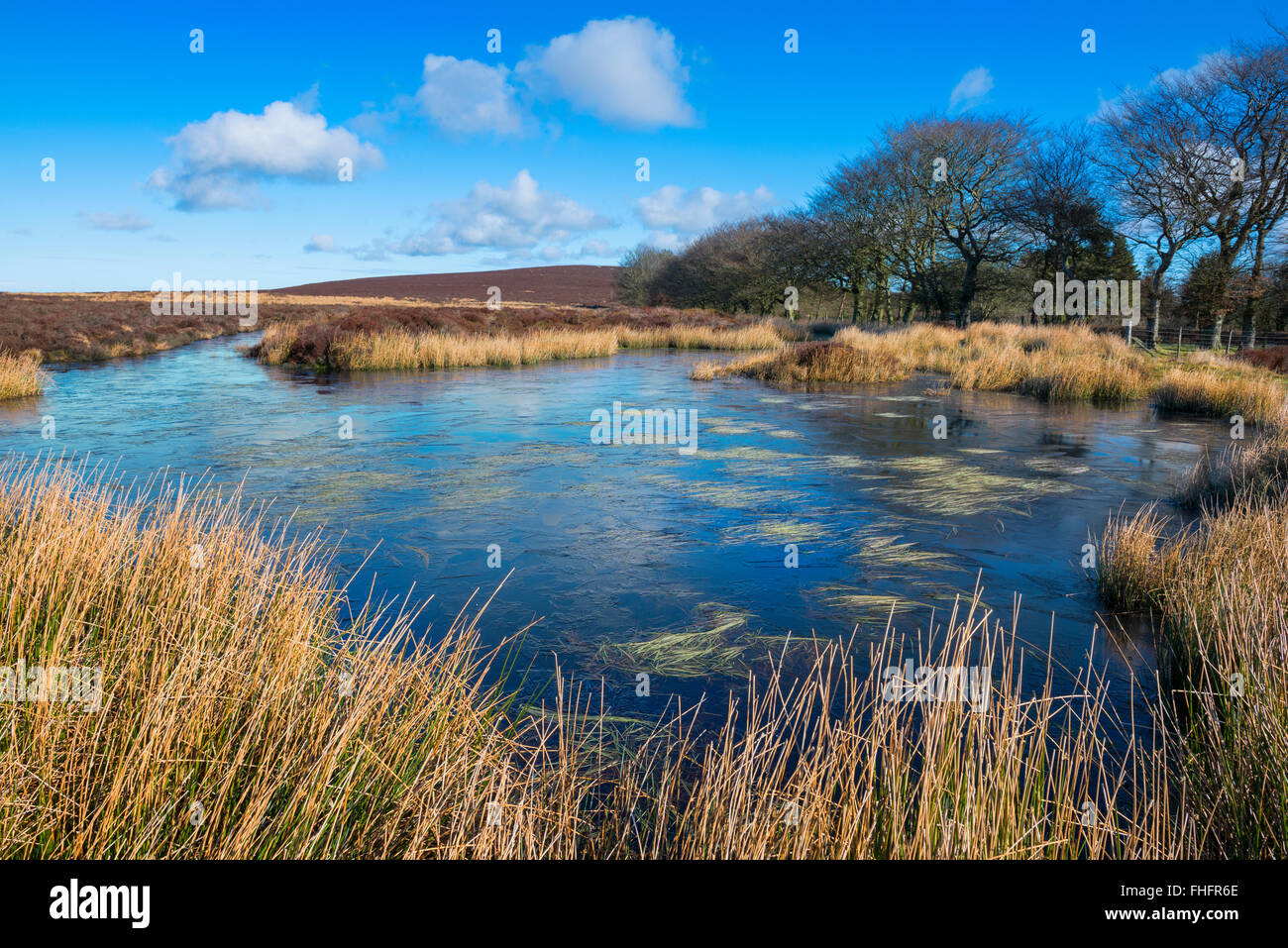 Frozen Pole Cottage pond in winter on the Long Mynd, Shropshire Stock ...