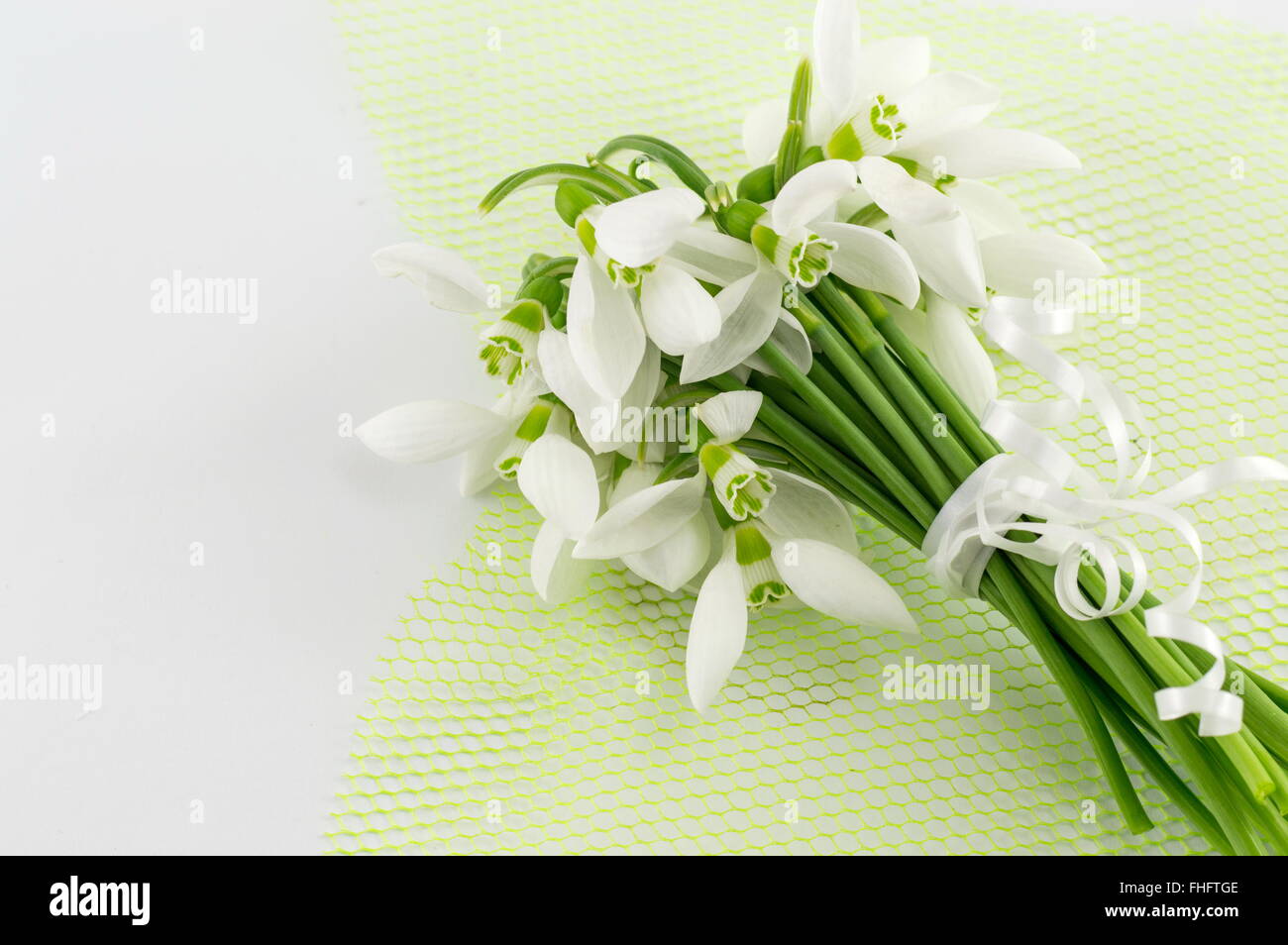 Fresh snowdrops bouquet on white background Stock Photo - Alamy