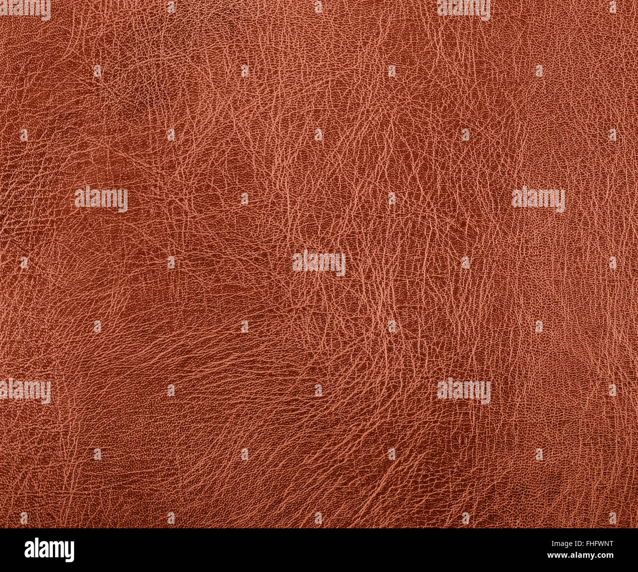Tanning Leather Vintage High Resolution Stock Photography and Images ...
