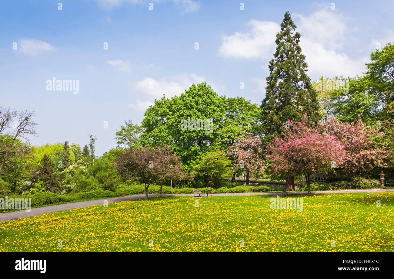 CityPark (Stadtgarten) in center of Freiburg im Breisgau city, Baden ...