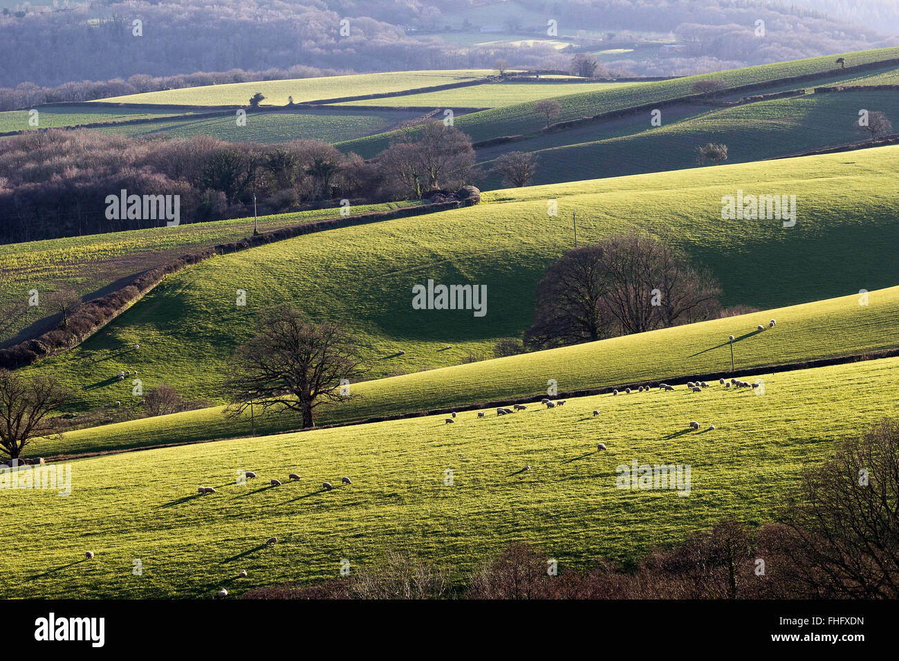 Devon fields near Dunsford in the teign valley dartmoor national park ...
