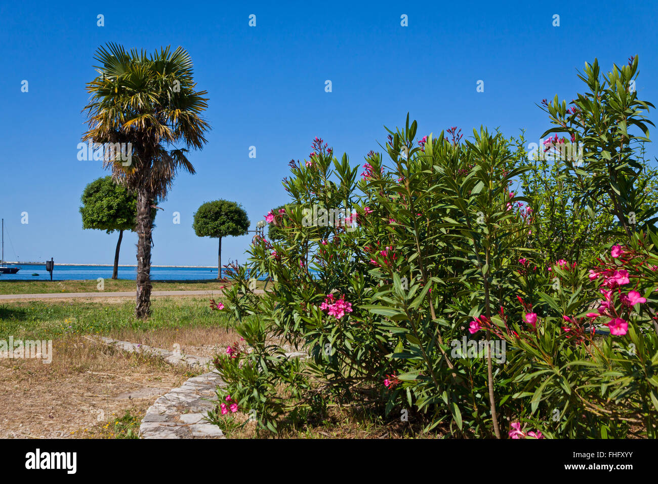 Umag croatia hi-res stock photography and images - Alamy
