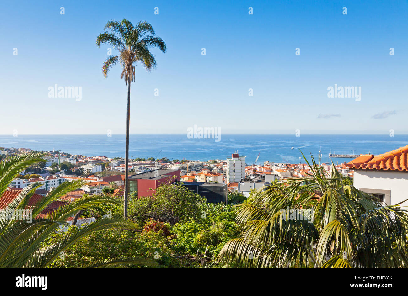 Funchal city, the capital of Madeira island, Portugal Stock Photo - Alamy
