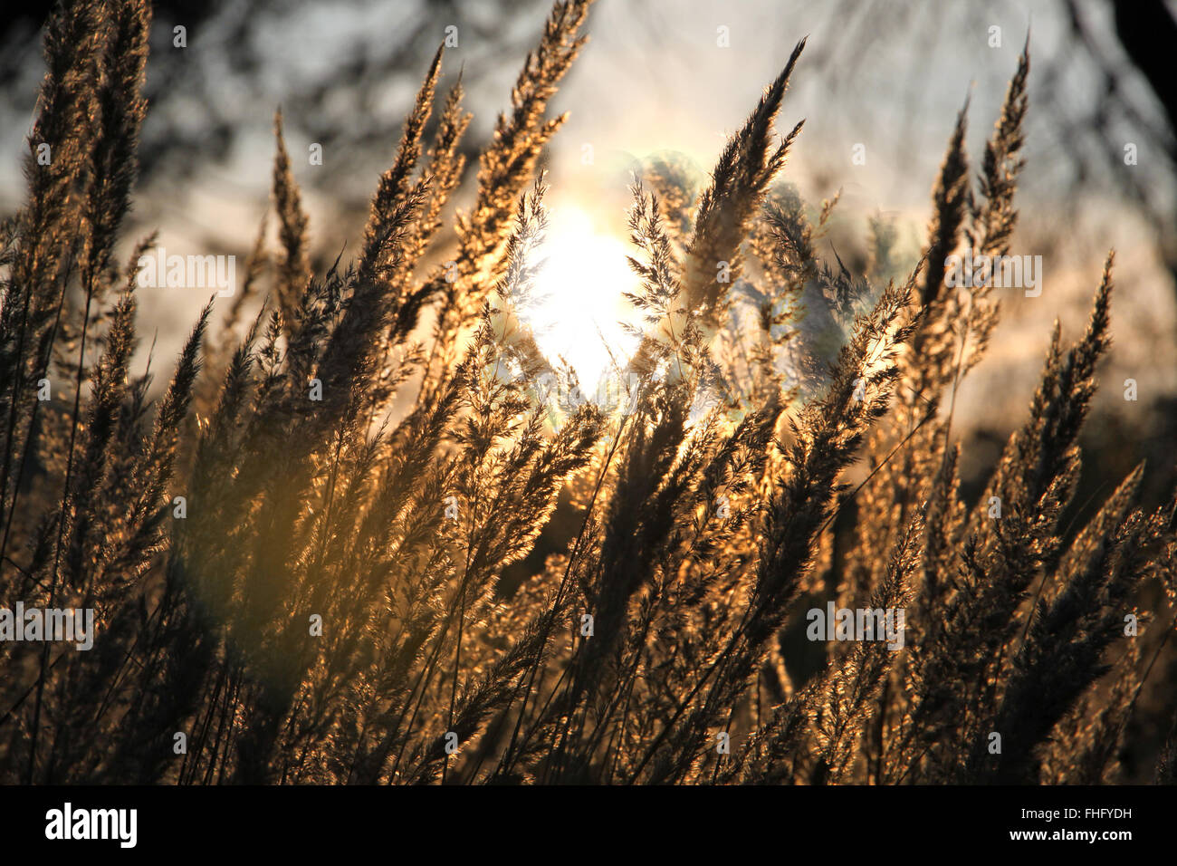 Rural field setting hi-res stock photography and images - Alamy