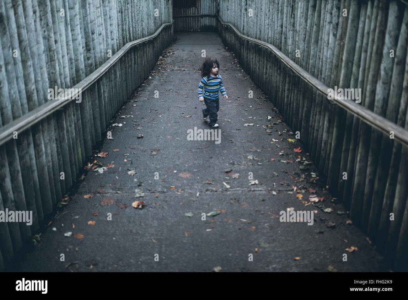 Boy walking on path between high wooden poles Stock Photo - Alamy