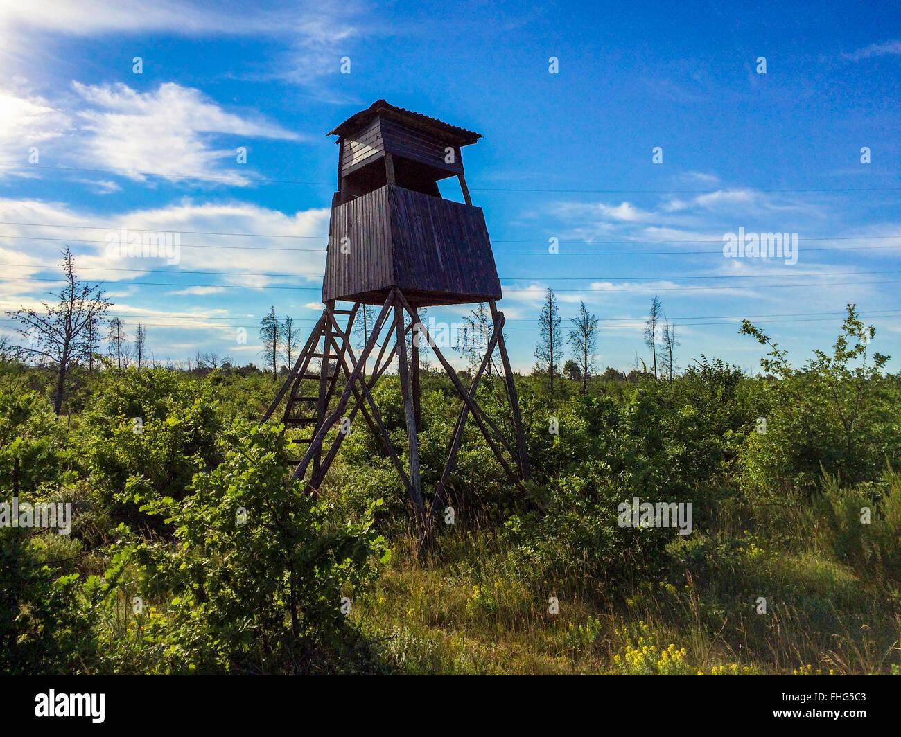 Old hunting cabin with wires in the background Stock Photo - Alamy