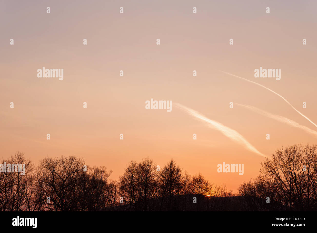Red winter sunset sky over the tree silhouettes, twilight Stock Photo ...