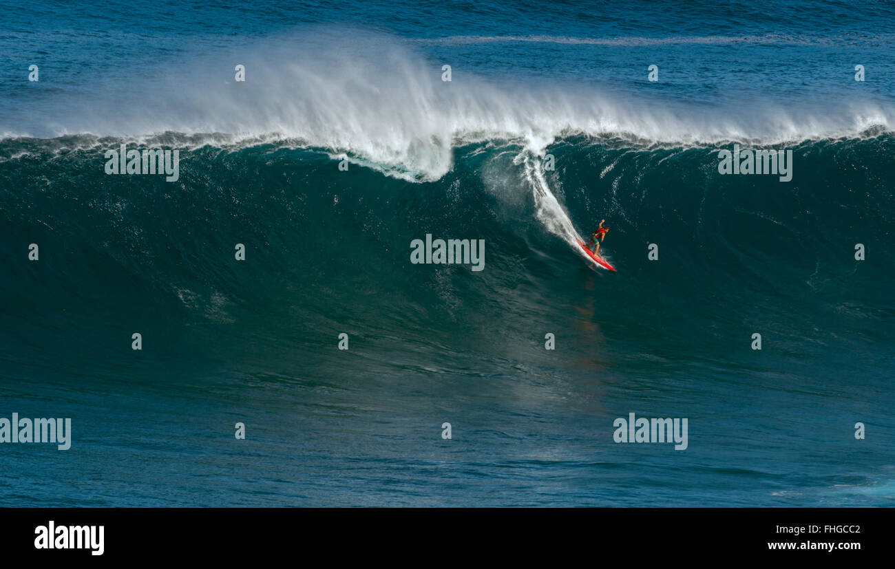 MAUI, HAWAII, USA-DECEMBER 10, 2014: Unknown surfer is riding a big ...