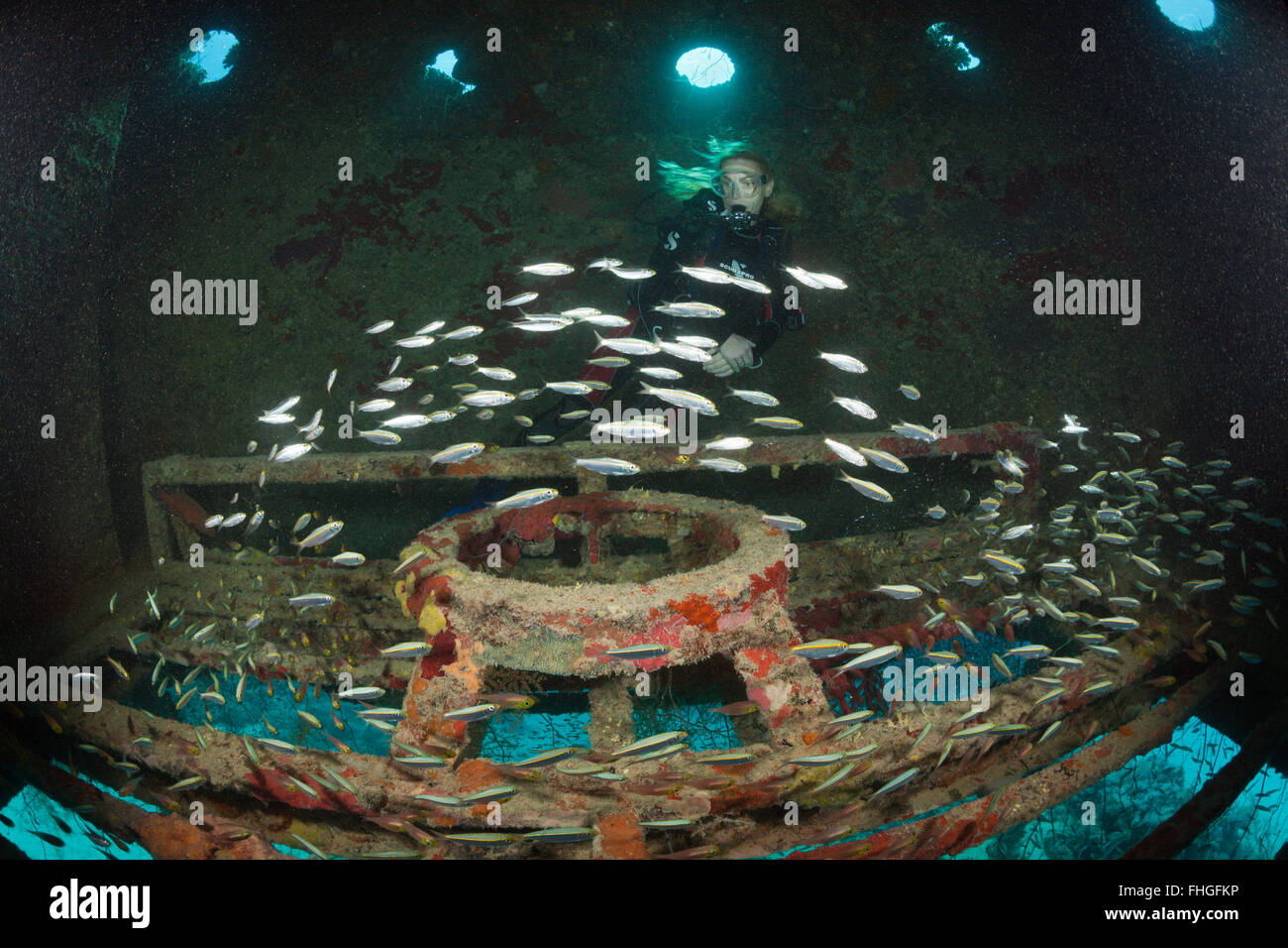 Diving Cousteaus Underwater Habitat Precontinent II, Shaab Rumi, Red ...