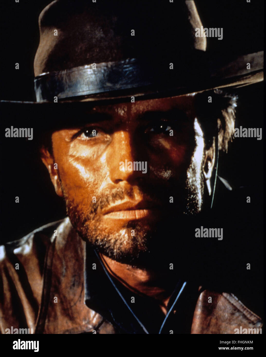 Tulio Stock Photos & Tulio Stock Images - Alamy