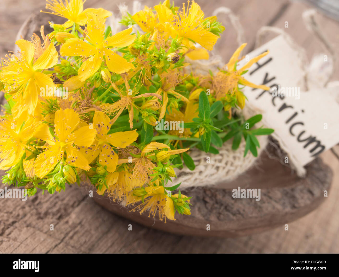 St John S Wort Herb Stock Photo Alamy