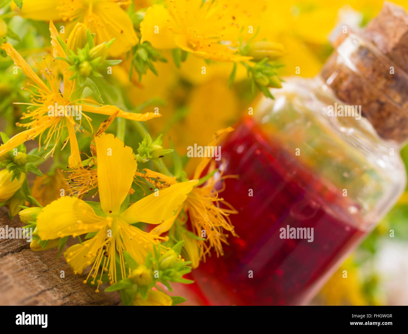 St John S Wort Herb Stock Photo Alamy