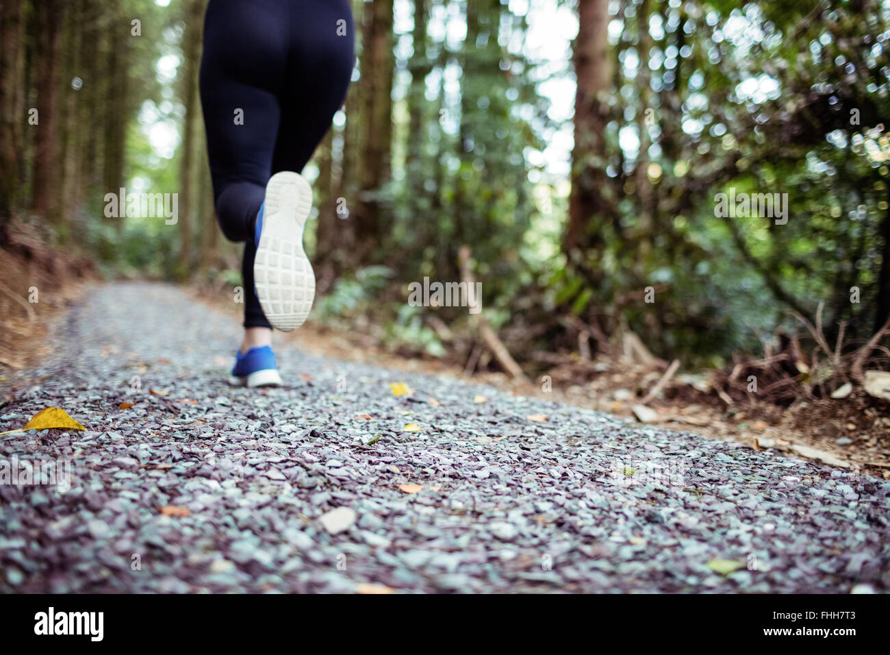 Close up legs woman running hi-res stock photography and images - Alamy