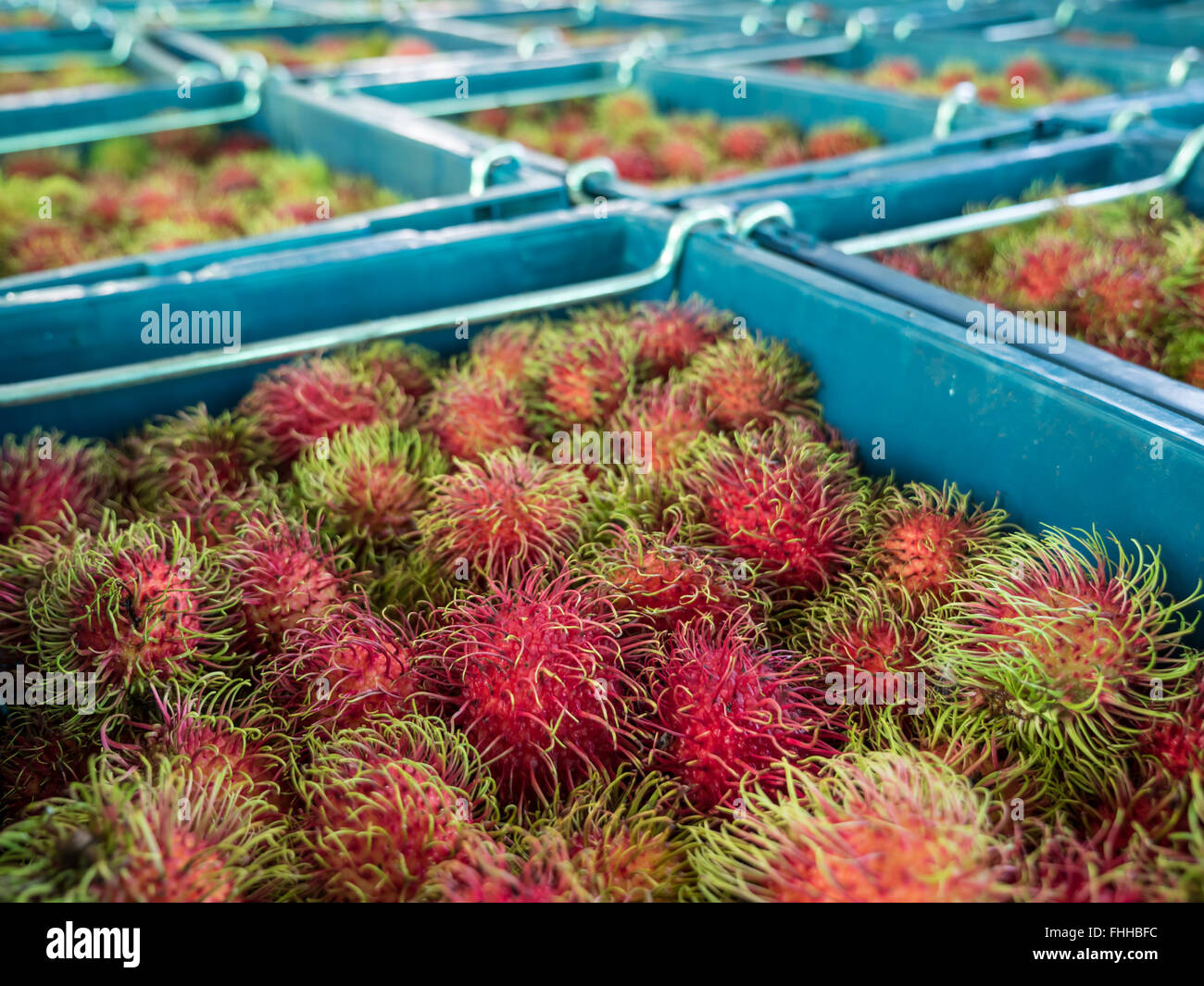 Many Rambutan in baskets at the wholesale market, Thailand Stock Photo ...
