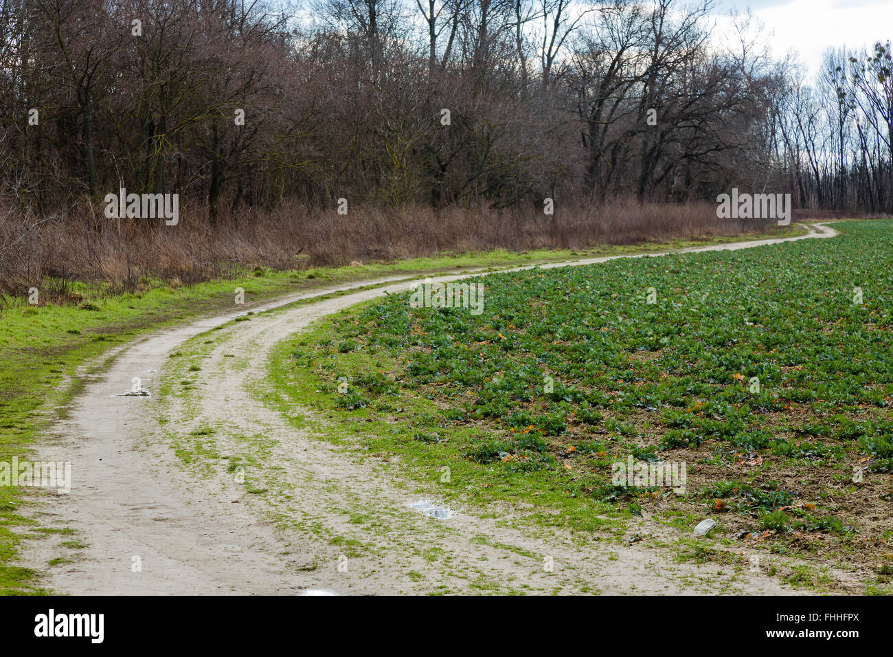 Green field winter hi-res stock photography and images - Alamy