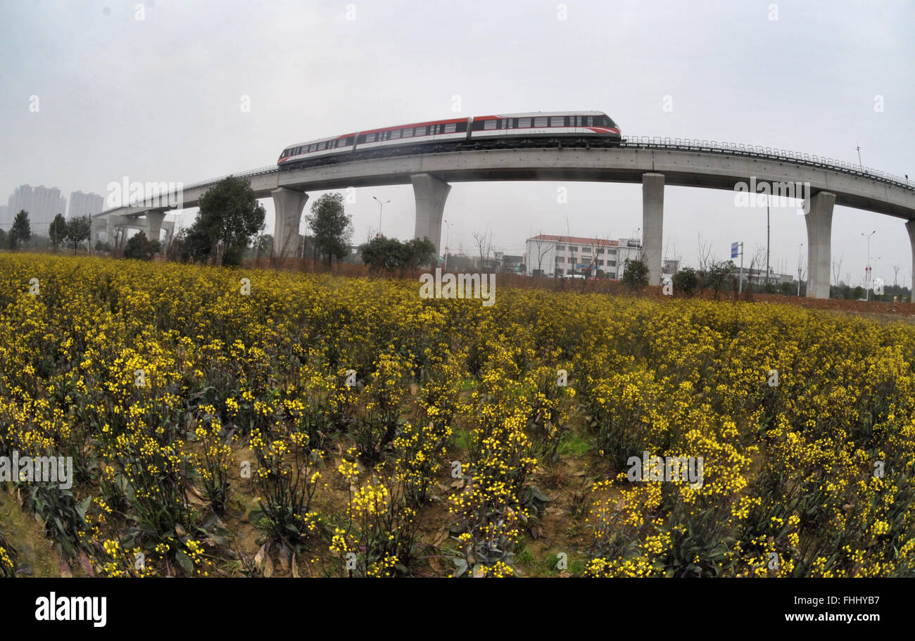 Changsha, China's Hunan Province. 25th Feb, 2016. A maglev train loaded ...